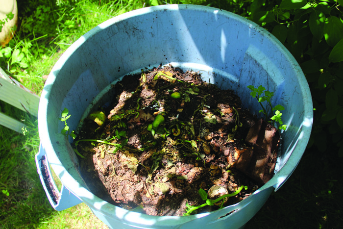 How to Separate Rocks from Dirt and Sow Success - Grit